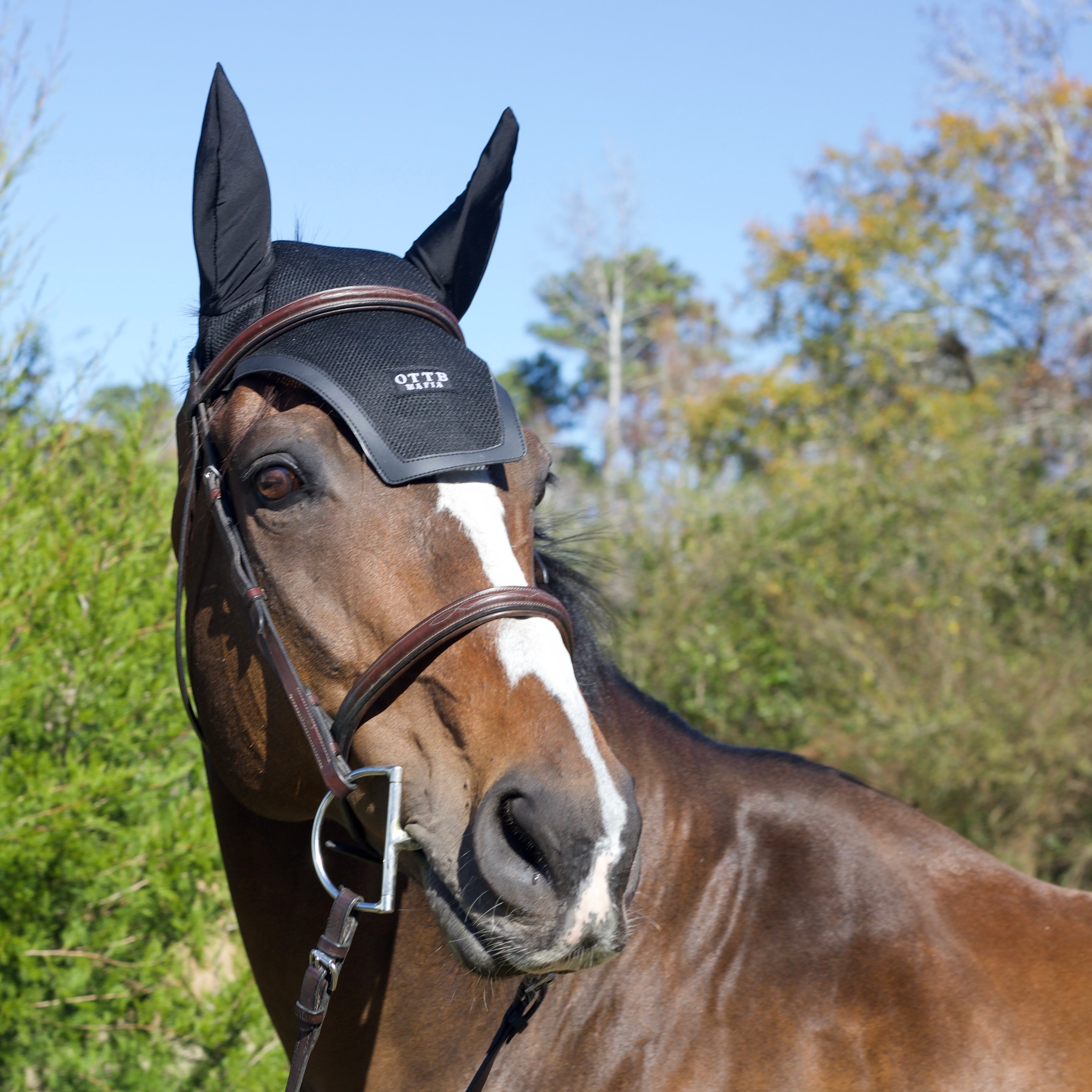 Ear Bonnet – OTTB MAFIA